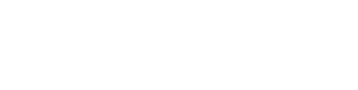 Experience - Discovery Experts